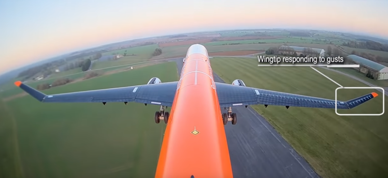 Biomimicry, a new frontier for aviation? - Private Jet Finder BLOG